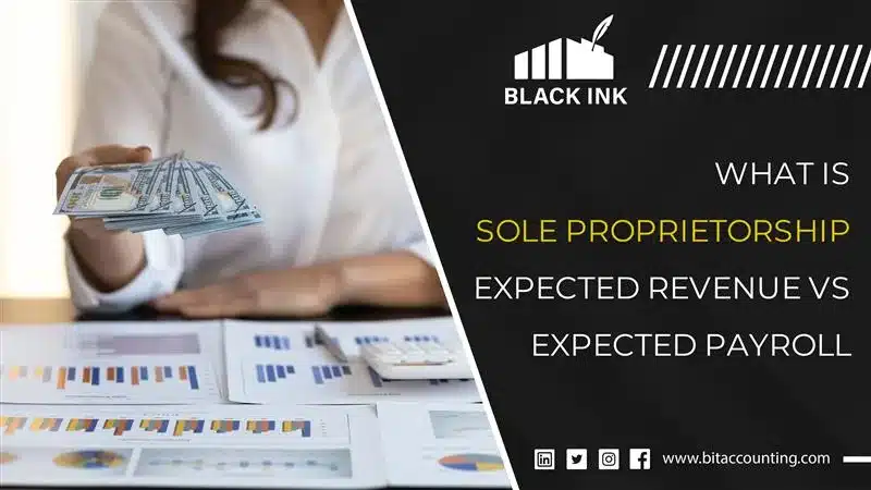 What is Sole Proprietor Ship Expected Revenue Vs Expected Payroll ...